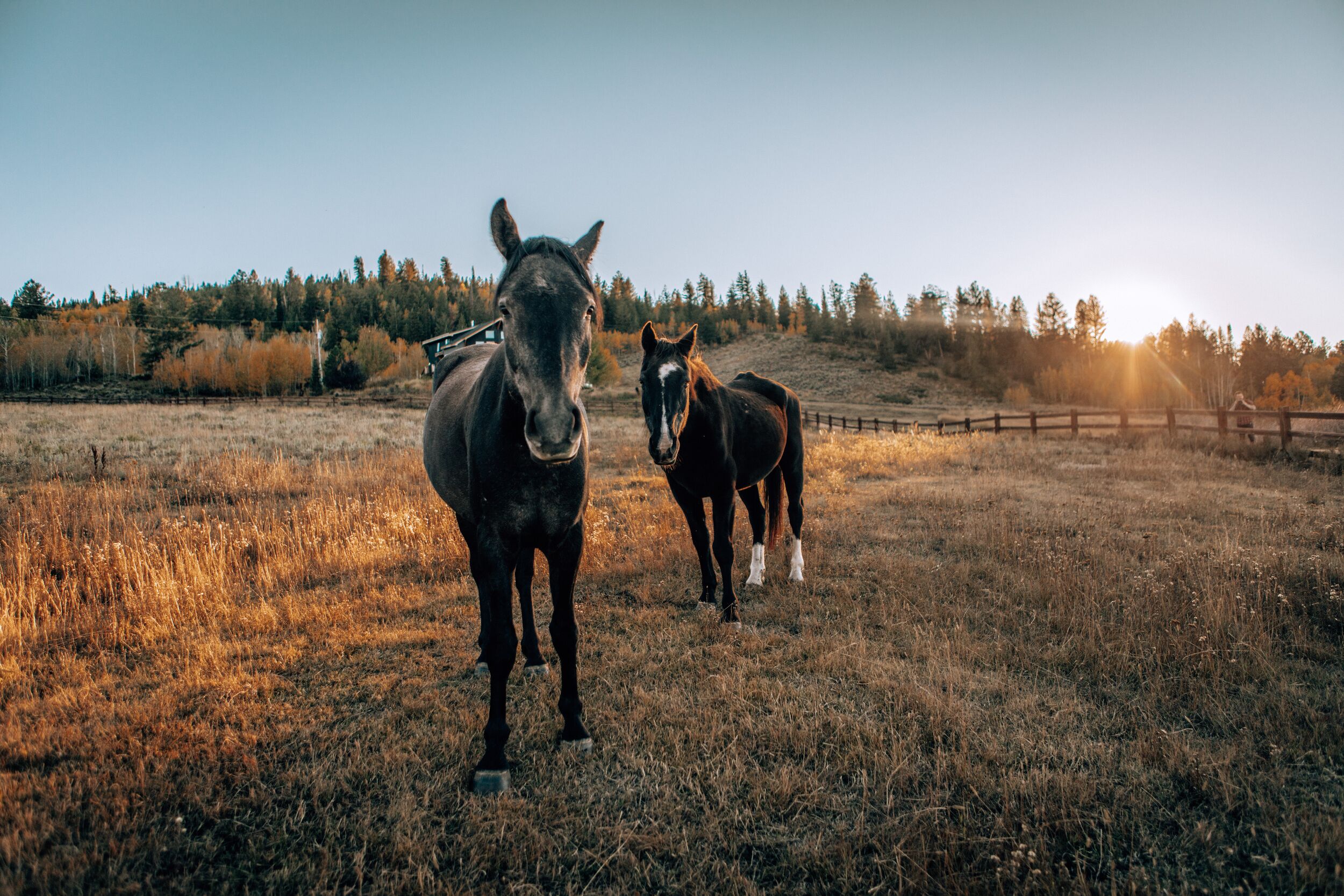 Tundra Springs | Colorado’s Premier Mountain Resort